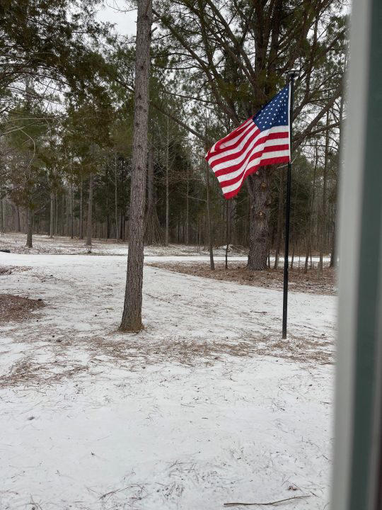 Photos: Snow begins to fall in Middle Tennessee