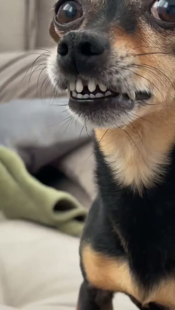 Corrigindo a cena do filme