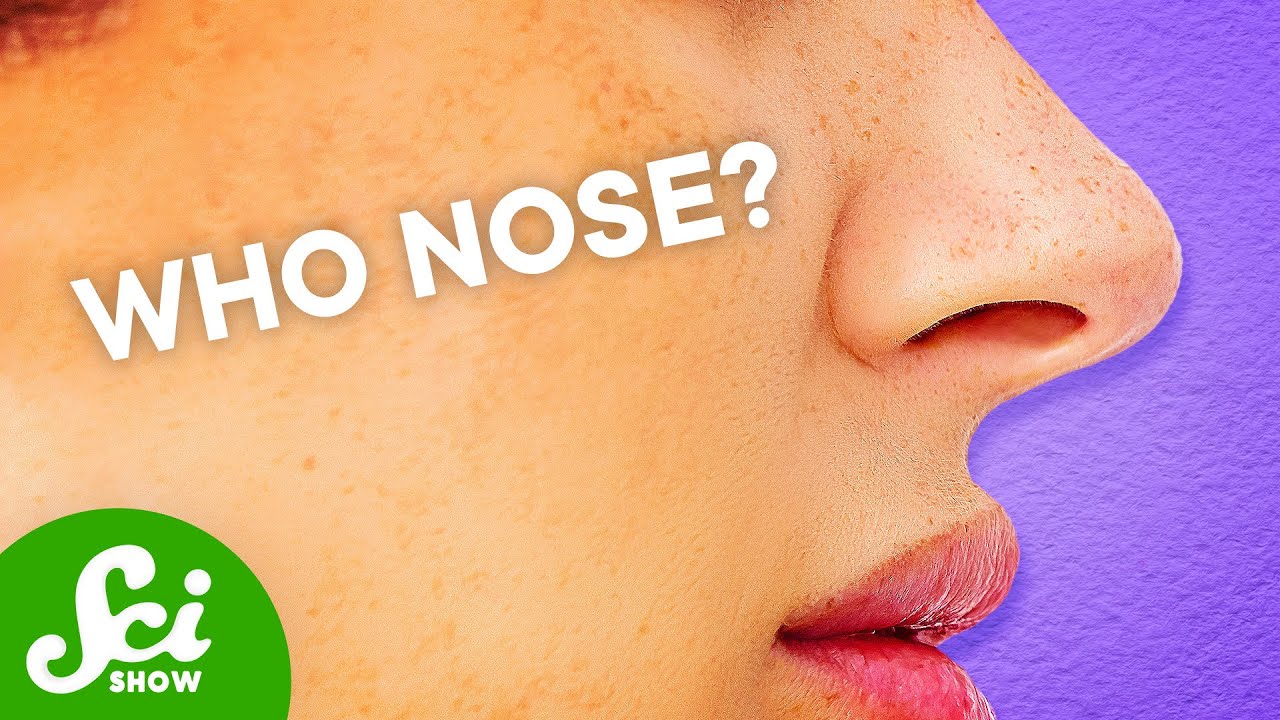 Why do our noses stick out?