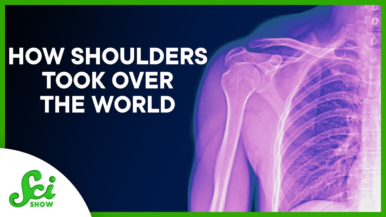 How shoulders took over the world (ft. Emily Graslie!)