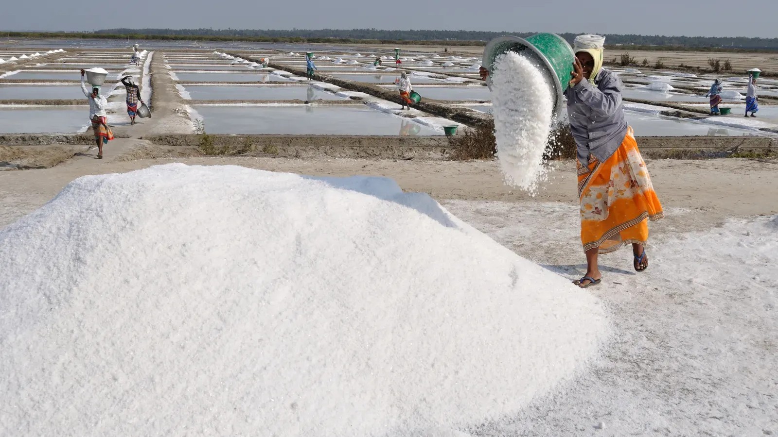 Everything you've been told about table salt is misleading: What's ...