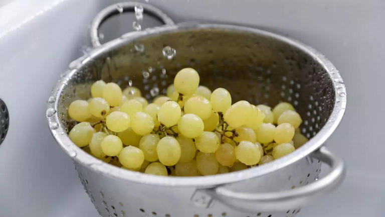 How to grow grapes at home: Expert tips for sweet and luscious fruit