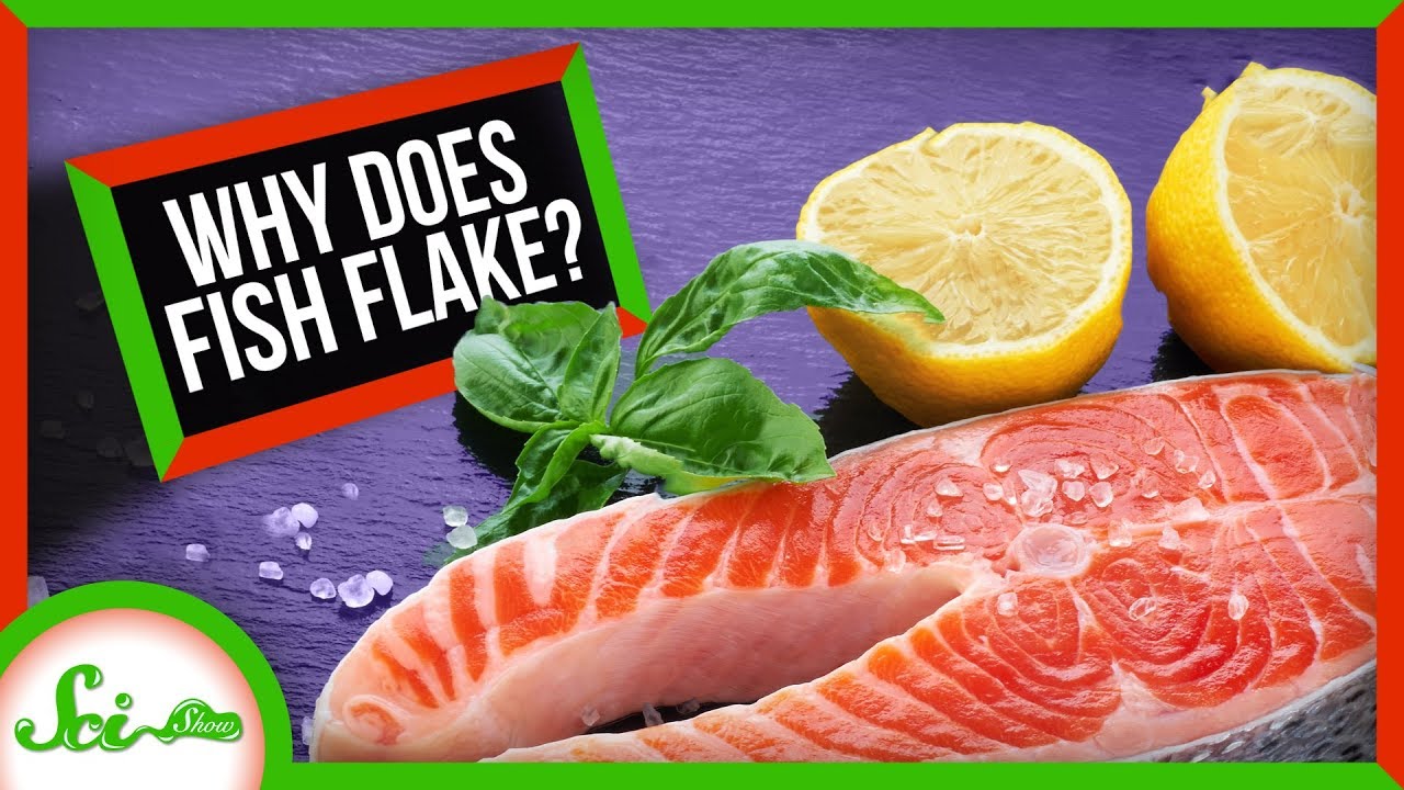 Why does fish flake?