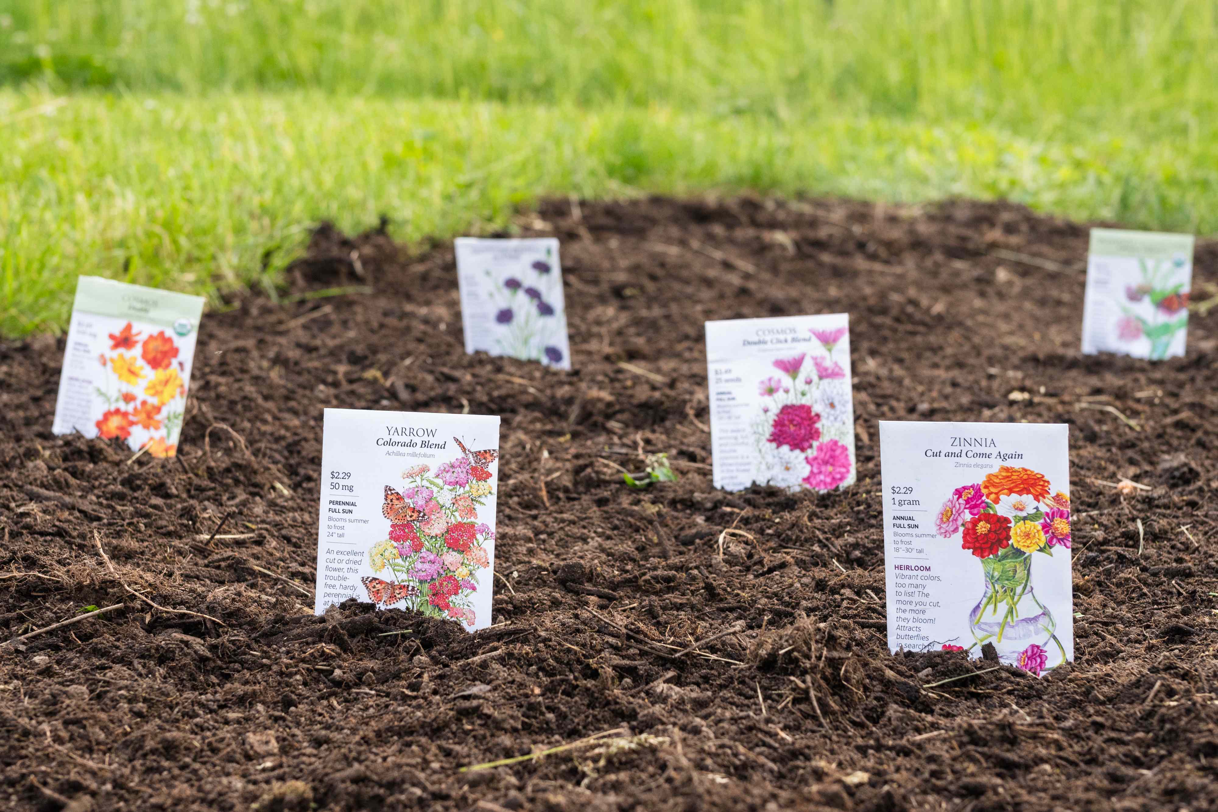 Don't wait for warm weather: The best time to plan your garden is right now