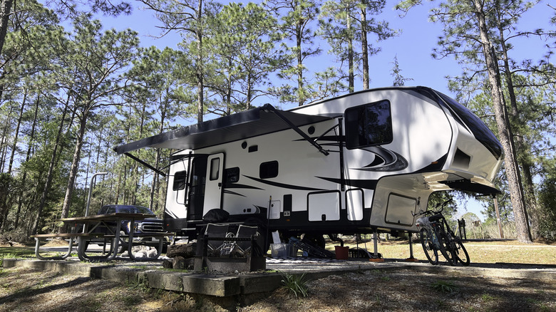 The 5 best spots for RV camping in Georgia's state parks