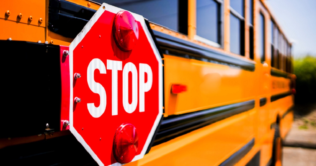 Who the anti-ICE crowd is defending: 'Monster' illegal hit third-grade ...