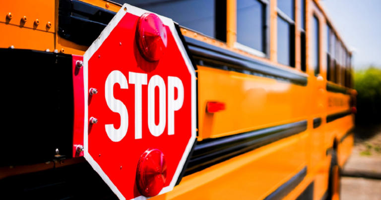 Who the anti-ICE crowd is defending: 'Monster' illegal hit third-grade ...