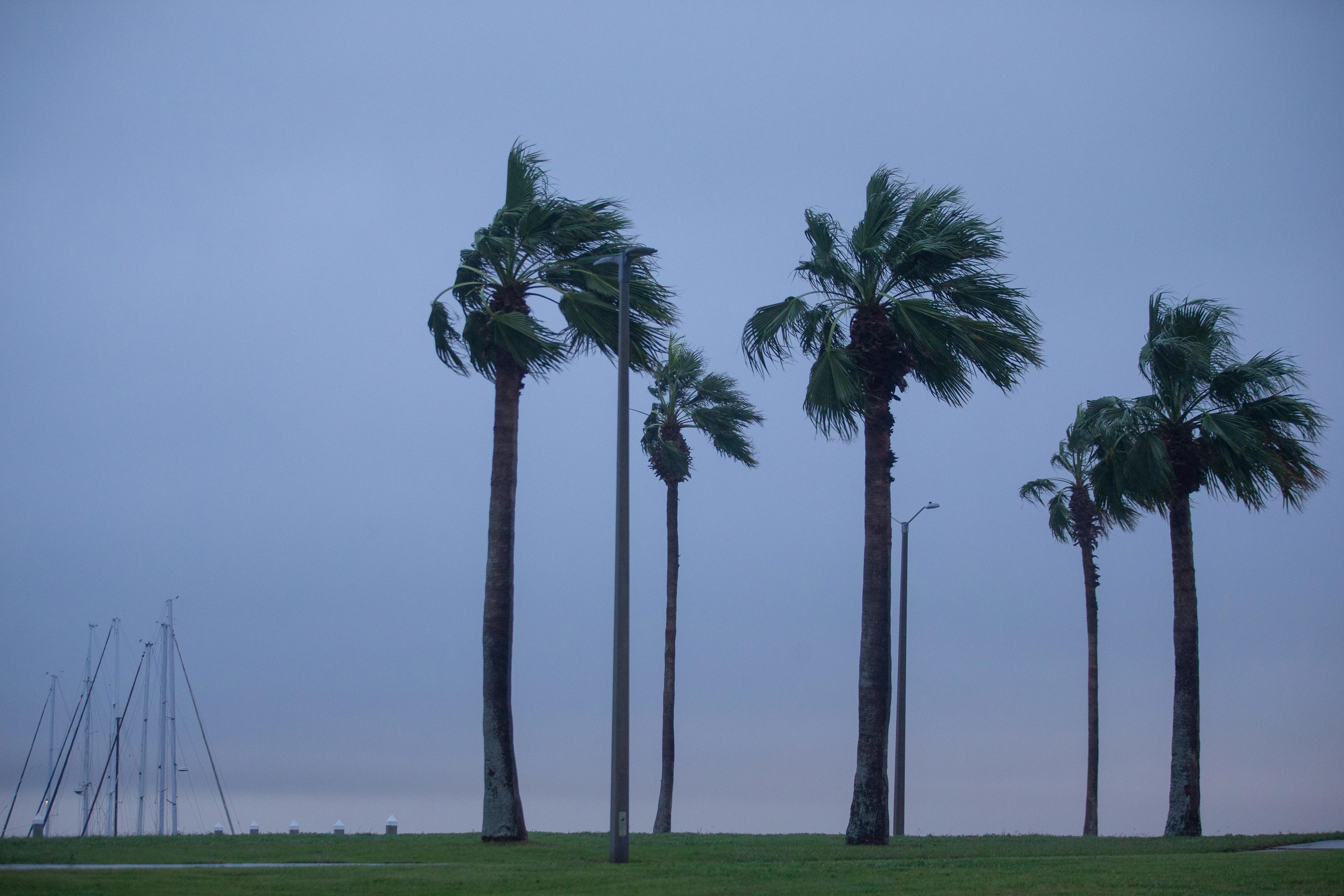 Here's how long cool weather will last in Corpus Christi