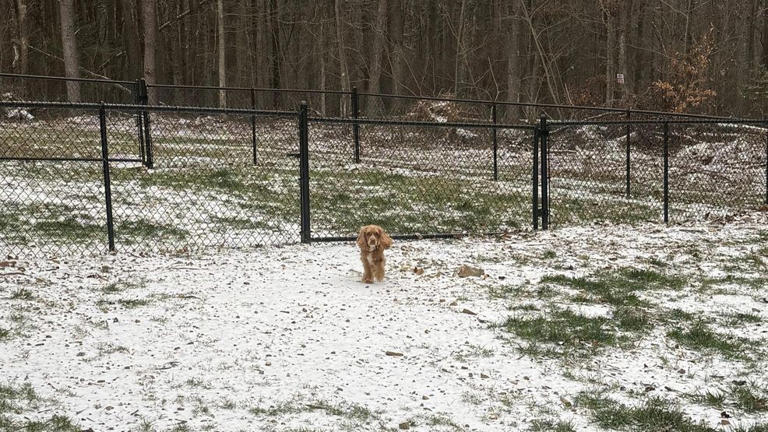 Tracking the storm: Wintry precipitation pays the Chattanooga area a ...