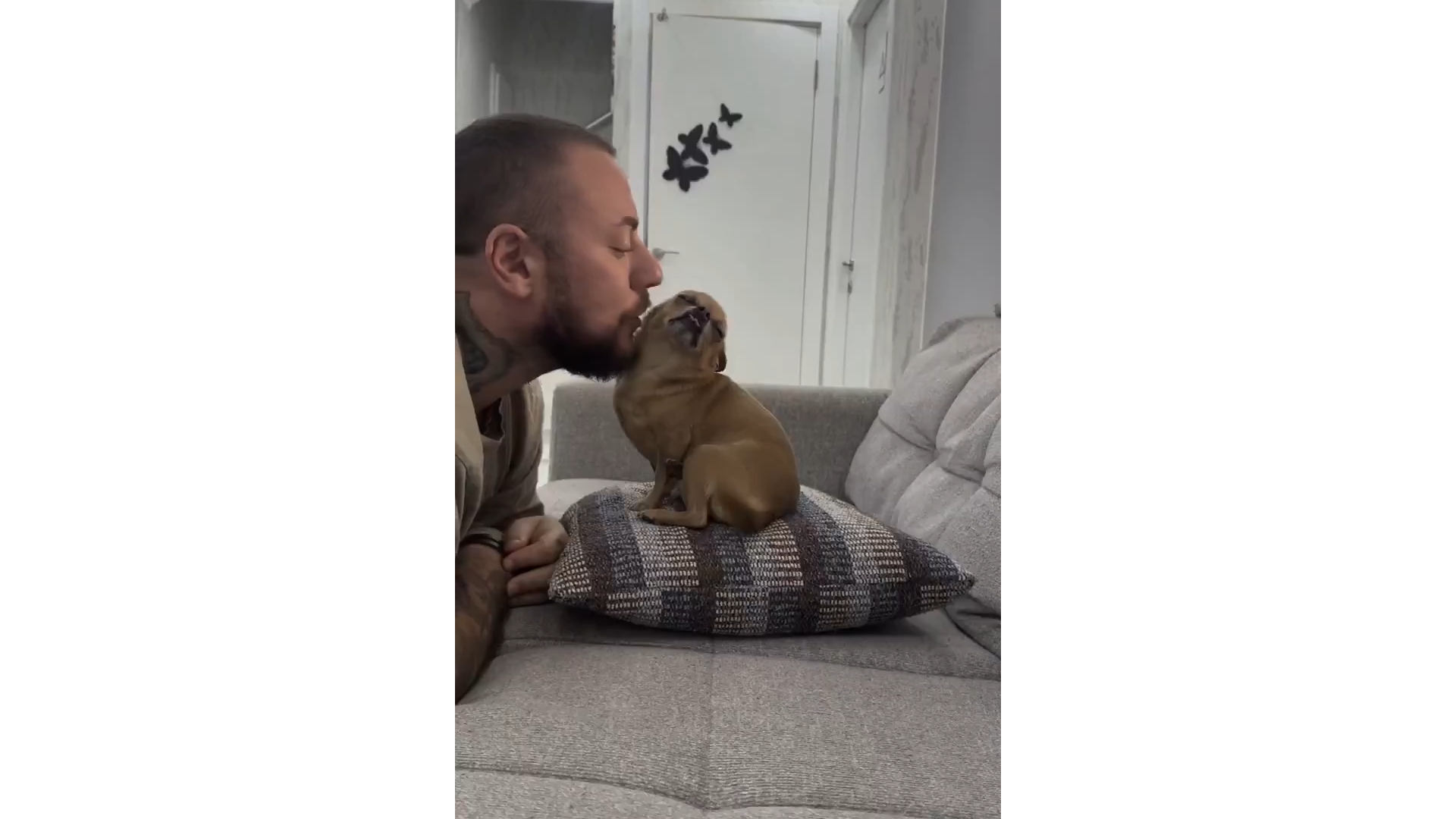 The definition of true love from a dog