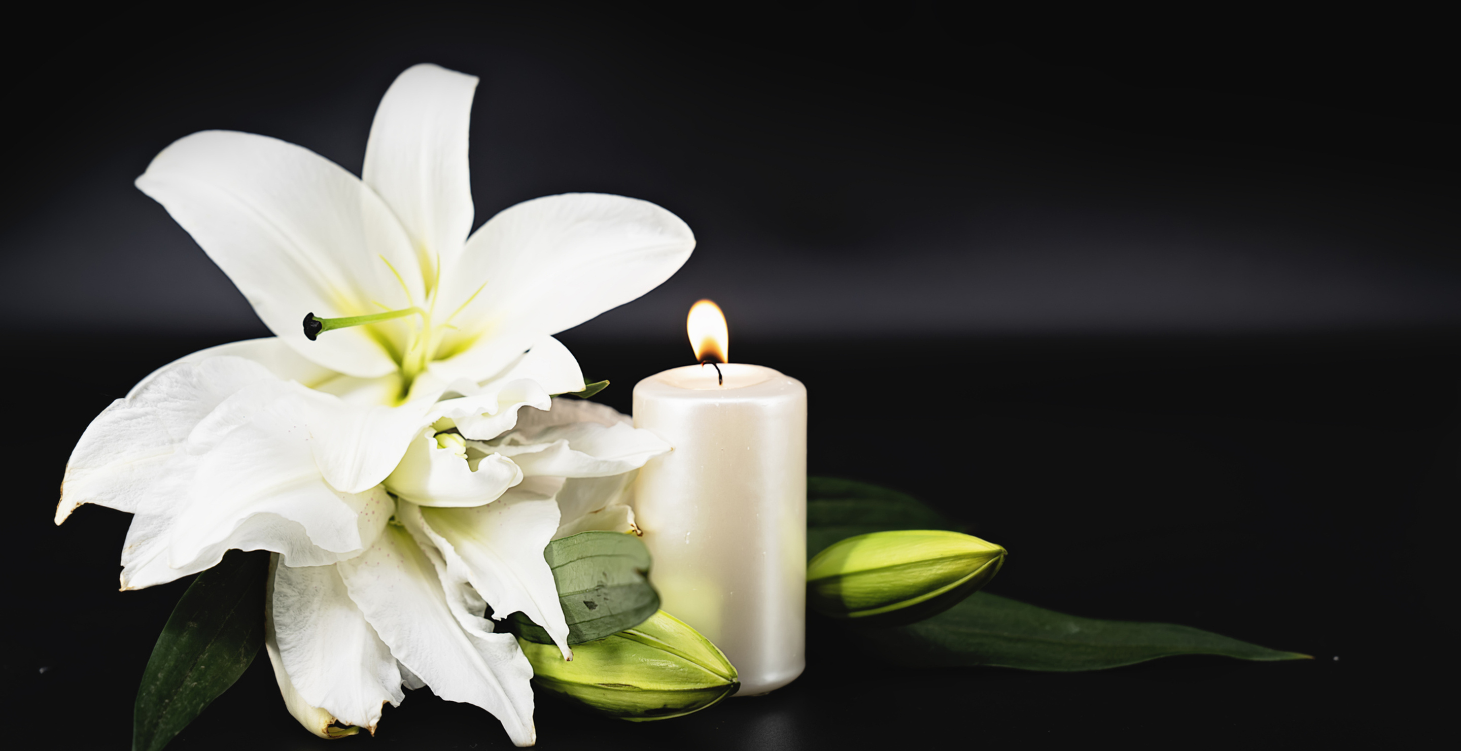 Guy Hovis, iconic singer on ‘The Lawrence Welk Show,' has died aged 84