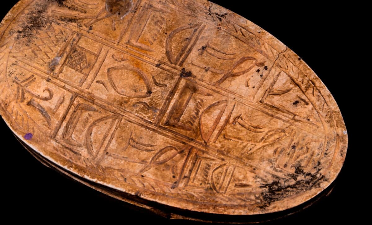 3-year-old girl picks up a “beautiful stone” during a walk, it turns ...