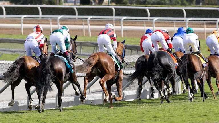 DRF's horse racing playbook for Saturday, January 24, 2026
