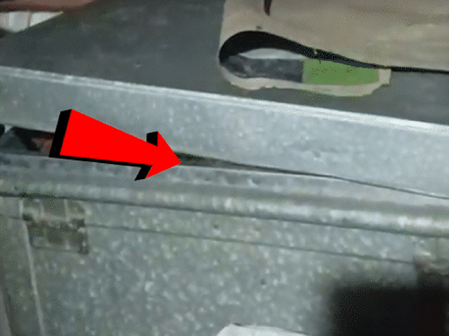 Kanpur incident: Boyfriend locked inside trunk for 45 minutes after ...