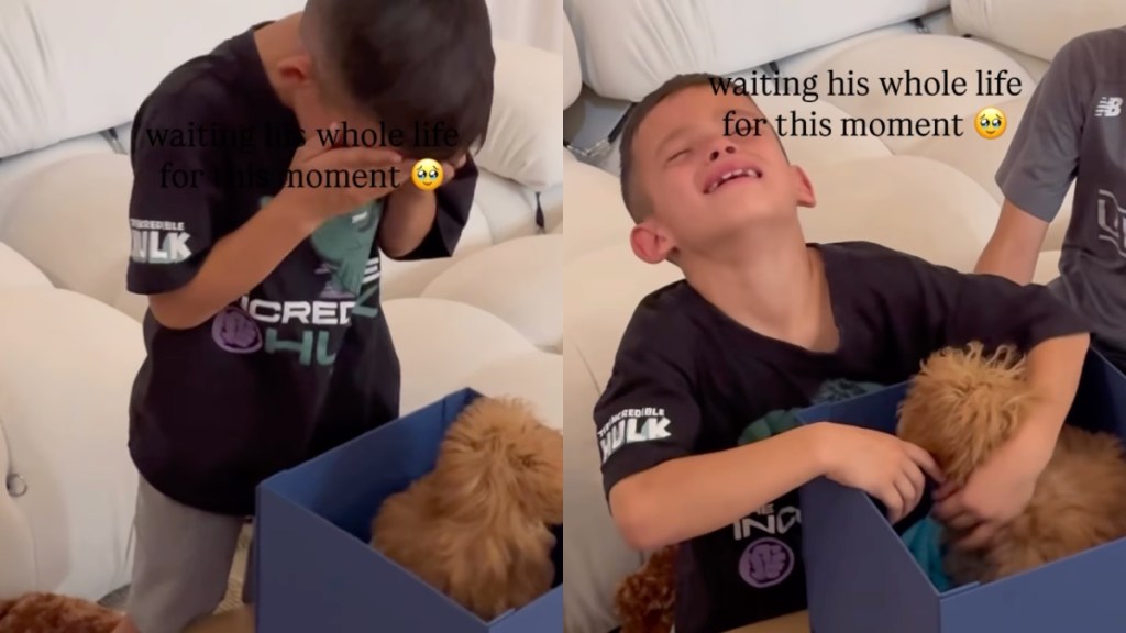 Little boy is an emotional wreck after getting a new puppy for his birthday