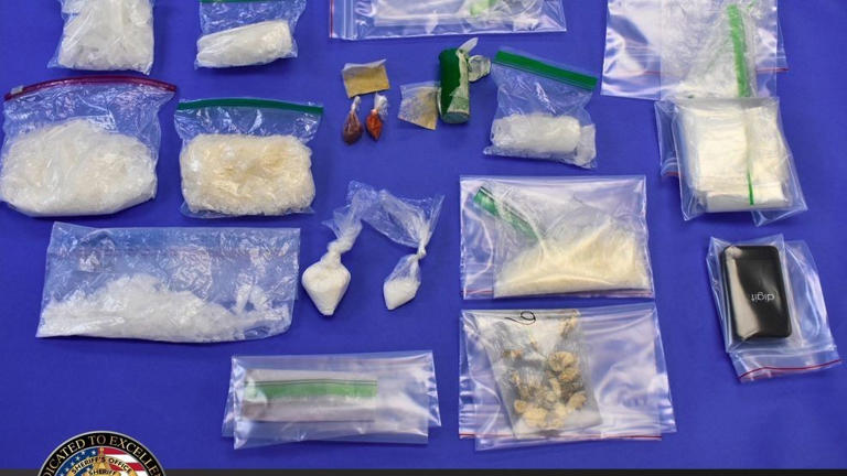 Deputies fine 14,000 lethal doses of suspected meth during search ...