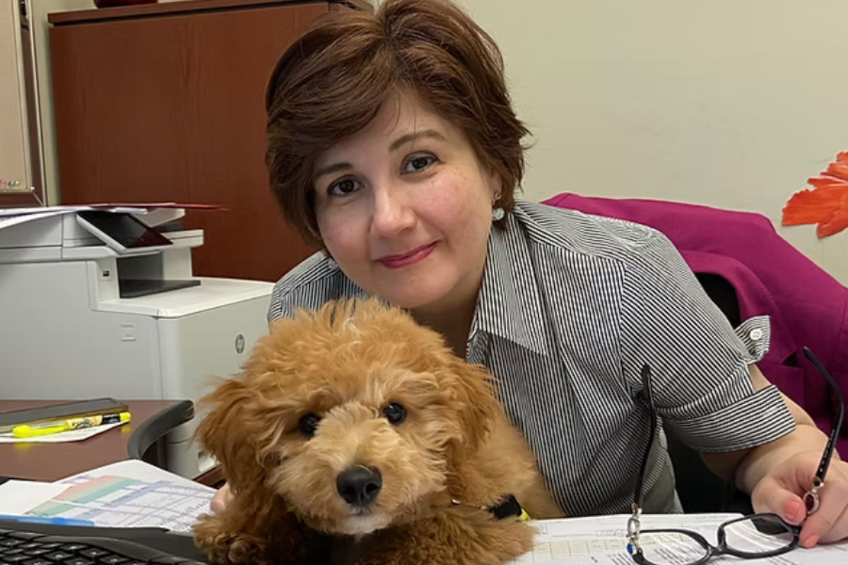 California socialite’s husband arrested in her 75-ft embankment death