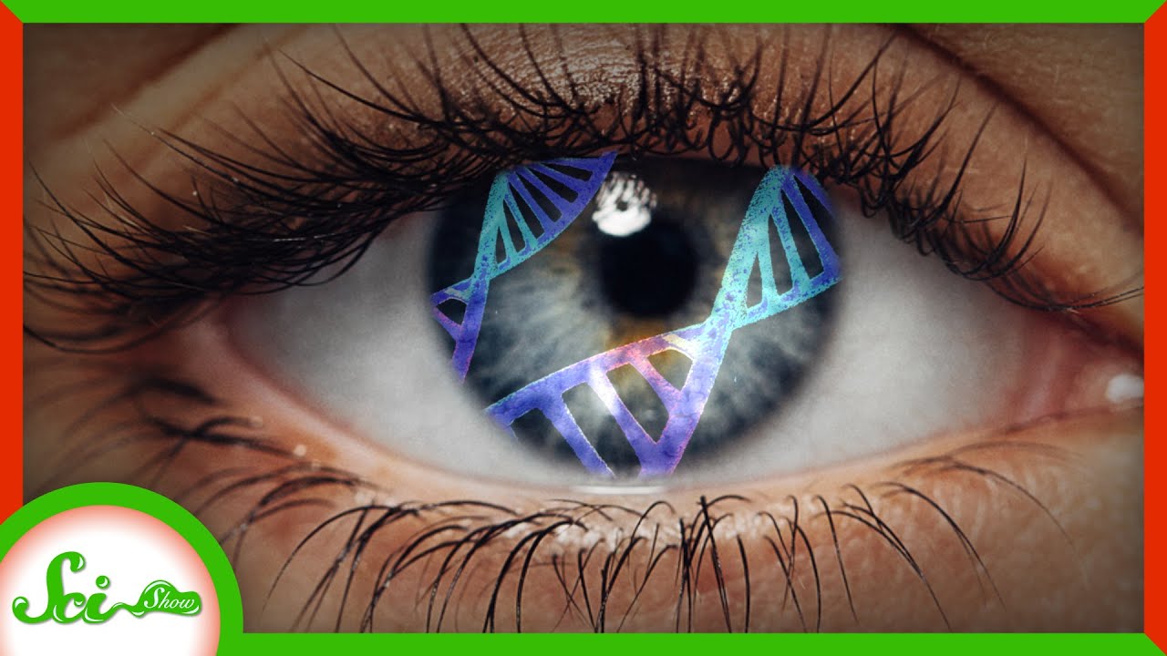 Treating blindness with light (and gene therapy) | SciShow News