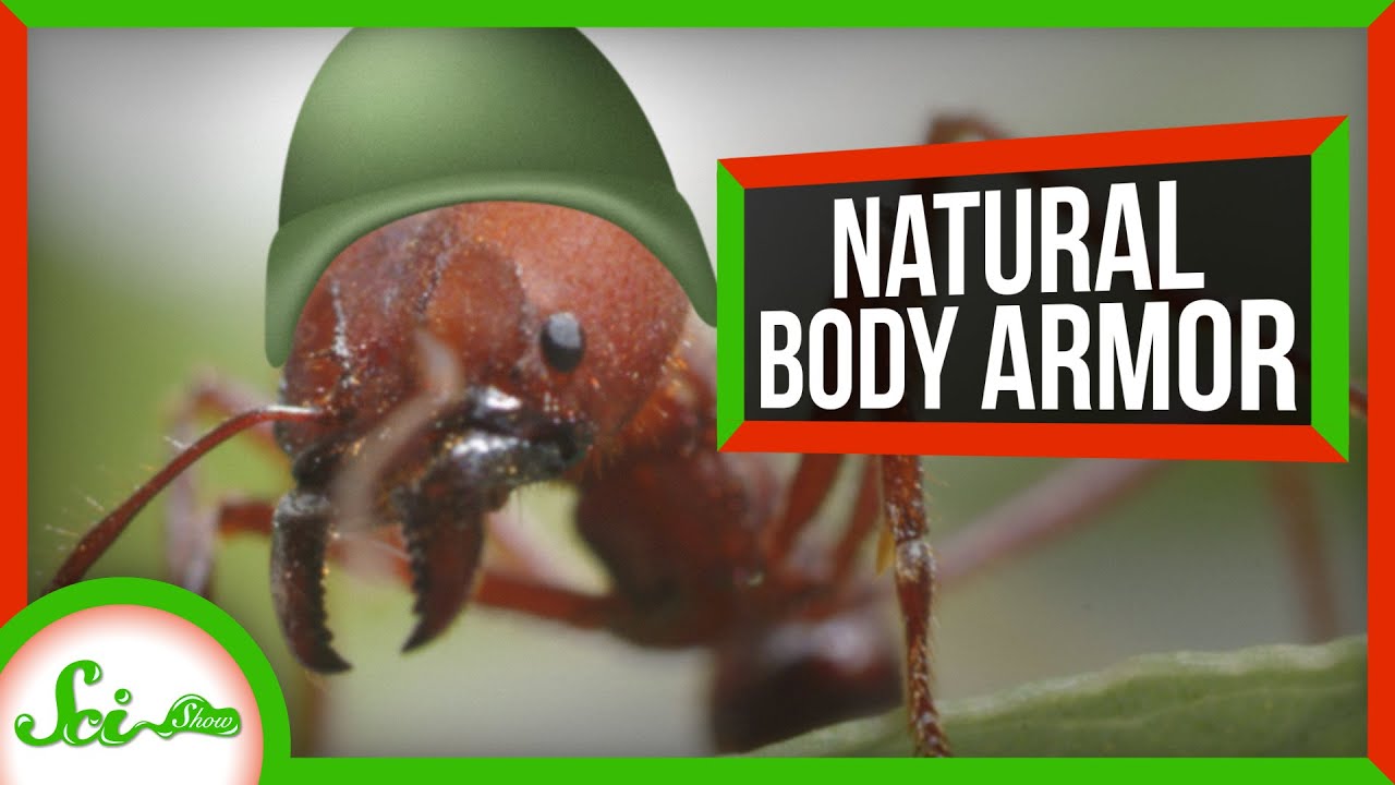 6 types of odd body armor