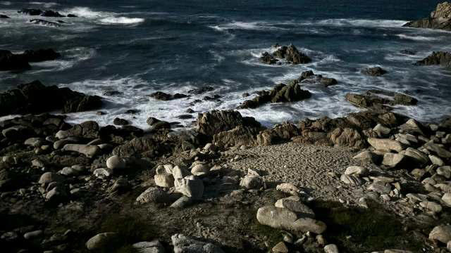 Officials investigate after swimmer is killed in suspected shark attack ...