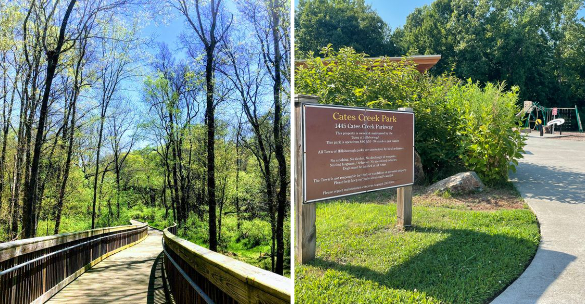 Uncover the charm of Hillsborough on a North Carolina day trip