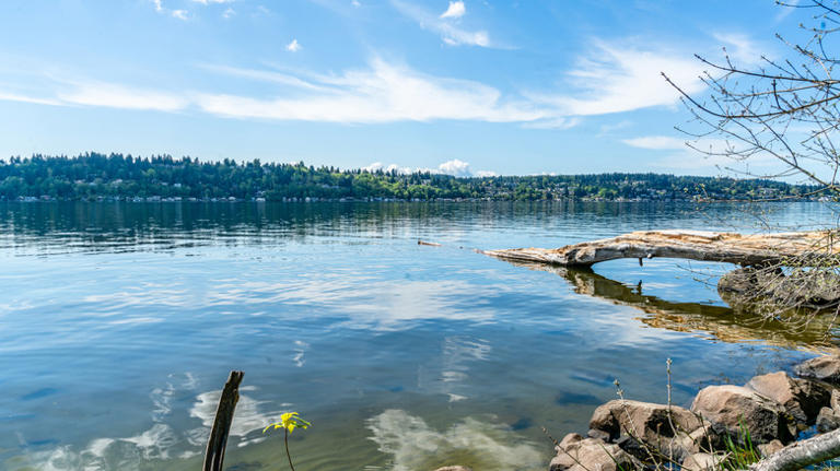 Washington's serene city just north of Seattle is a charming haven of ...