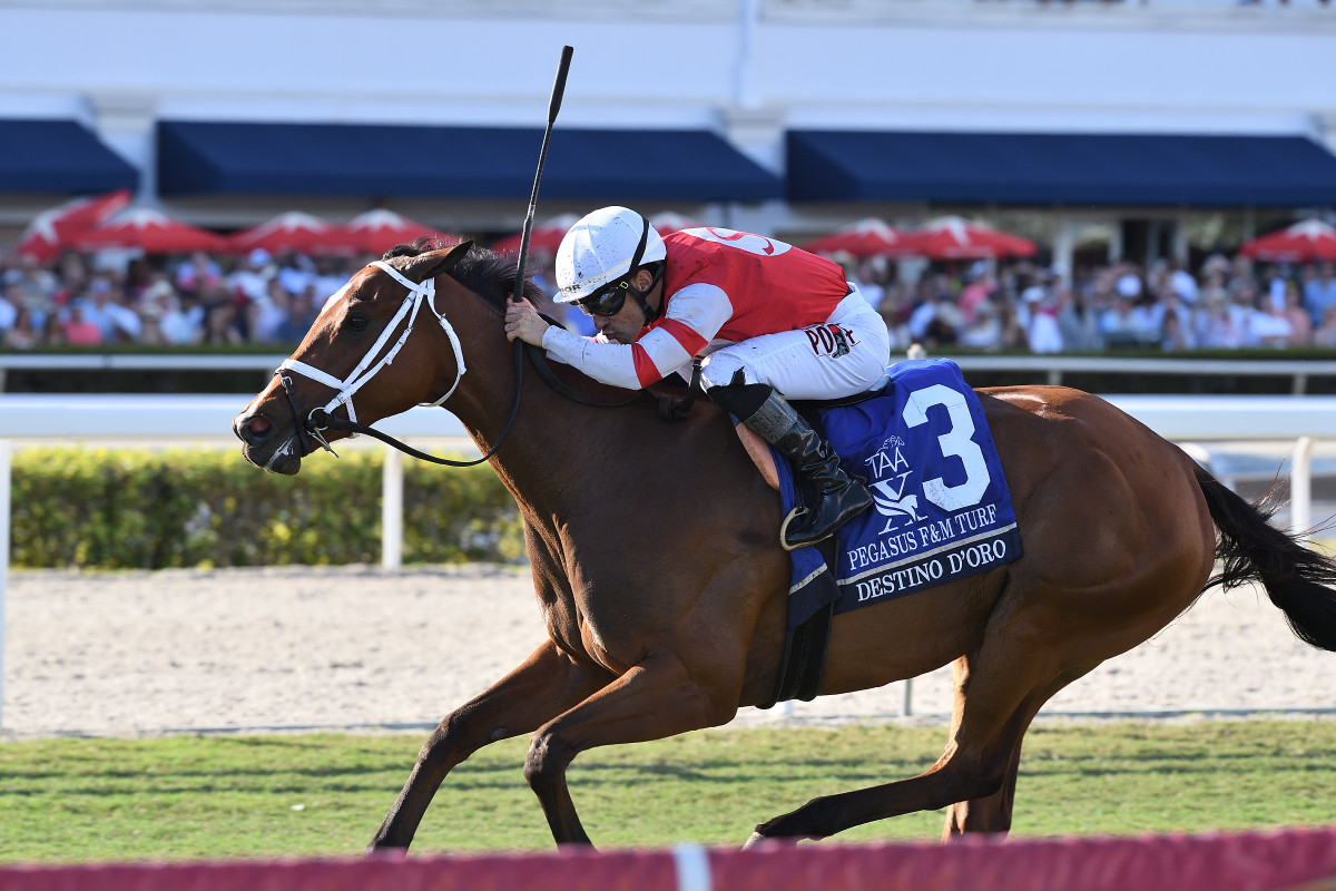'Helluva run': Destino D'Oro rallies from last to first in Pegasus ...
