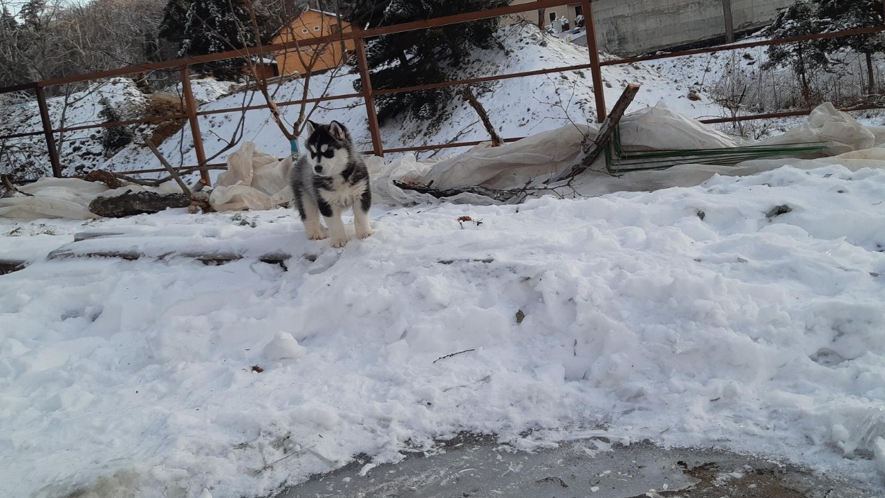 Life-threatening blizzard to slam US with brutal -54°F Arctic freeze