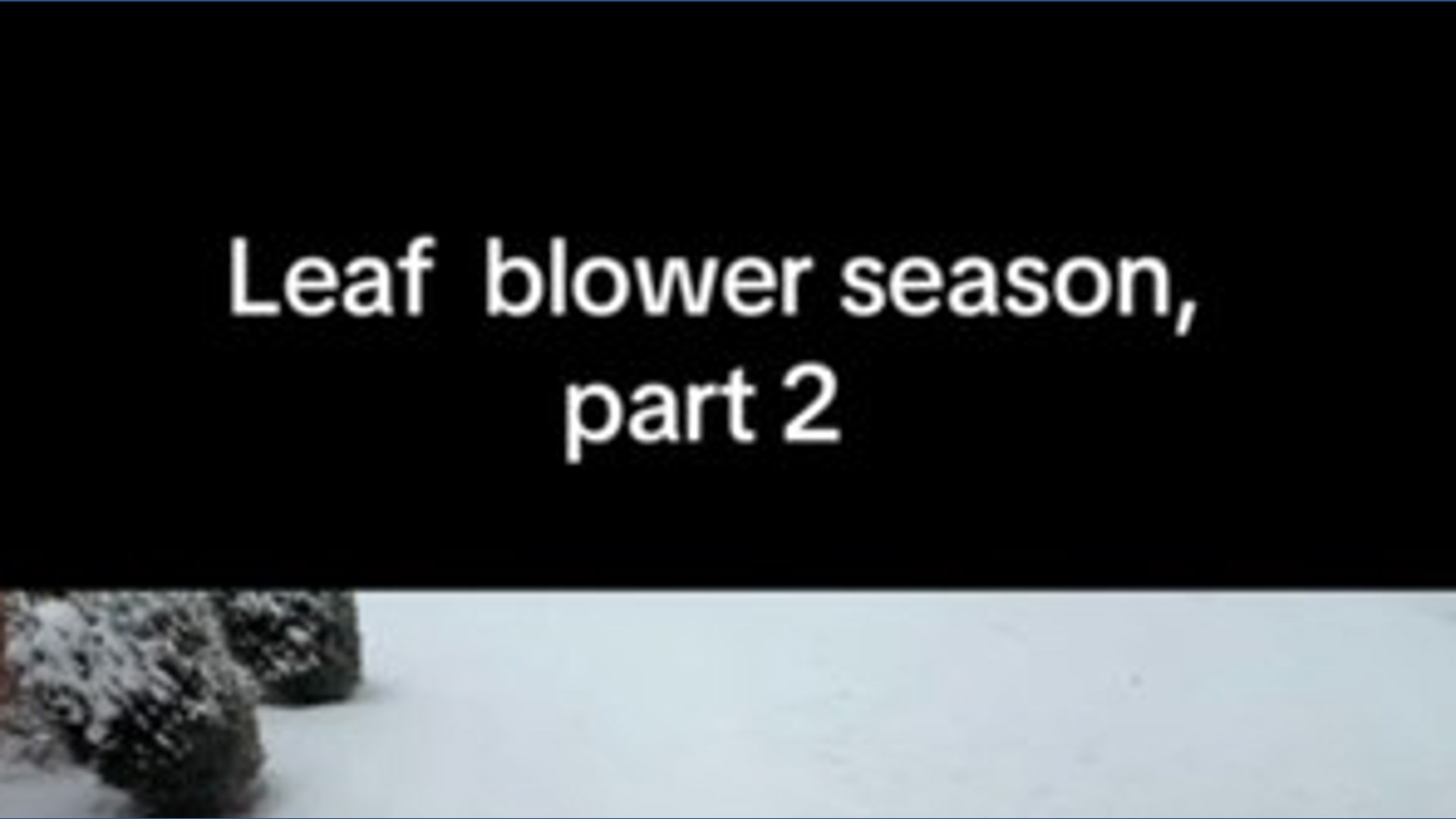 Leaf blower used to clear porch in St. Louis during snowstorm