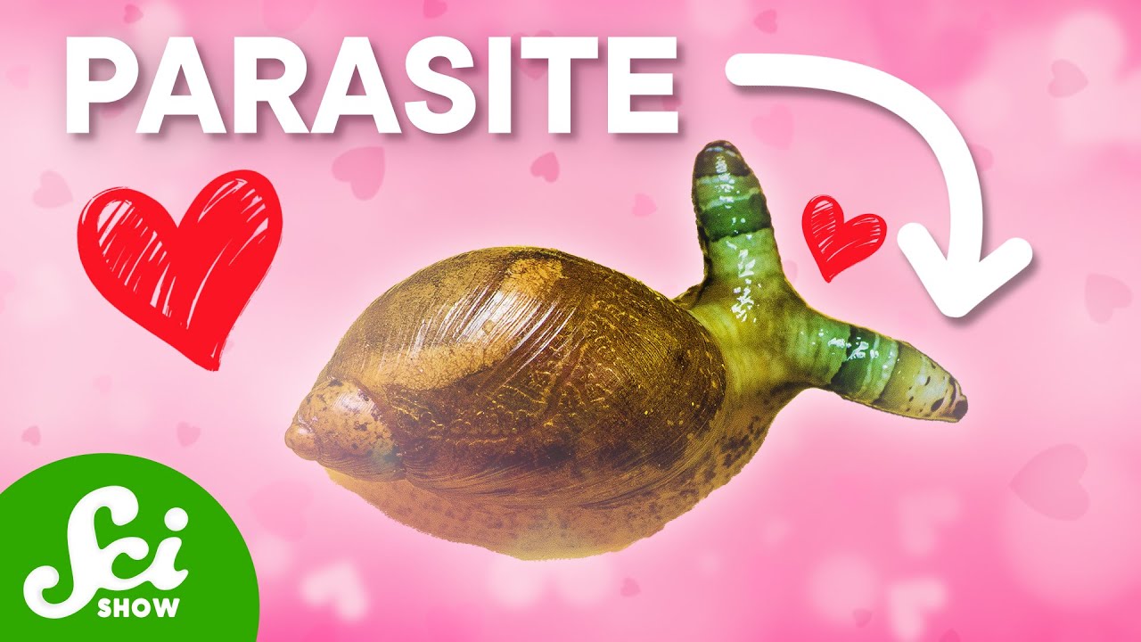 Parasites are good, actually