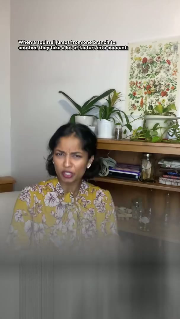 These squirrels do parkour. #shorts #science