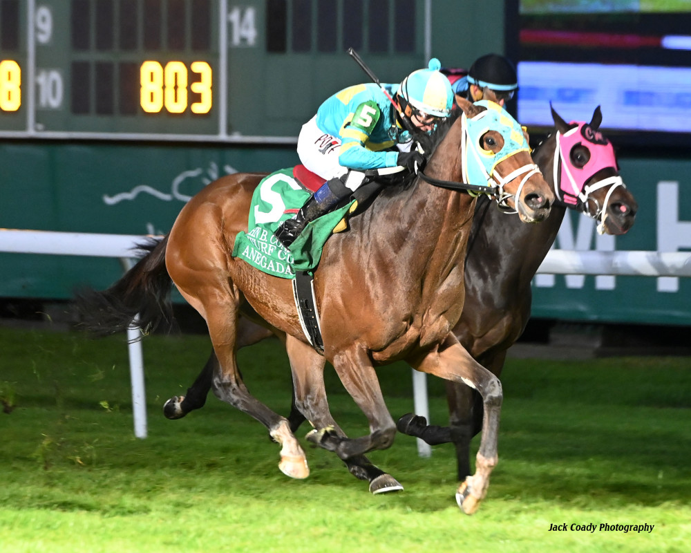 Anegada lands Connally Turf Cup as Mike Maker continues dominance