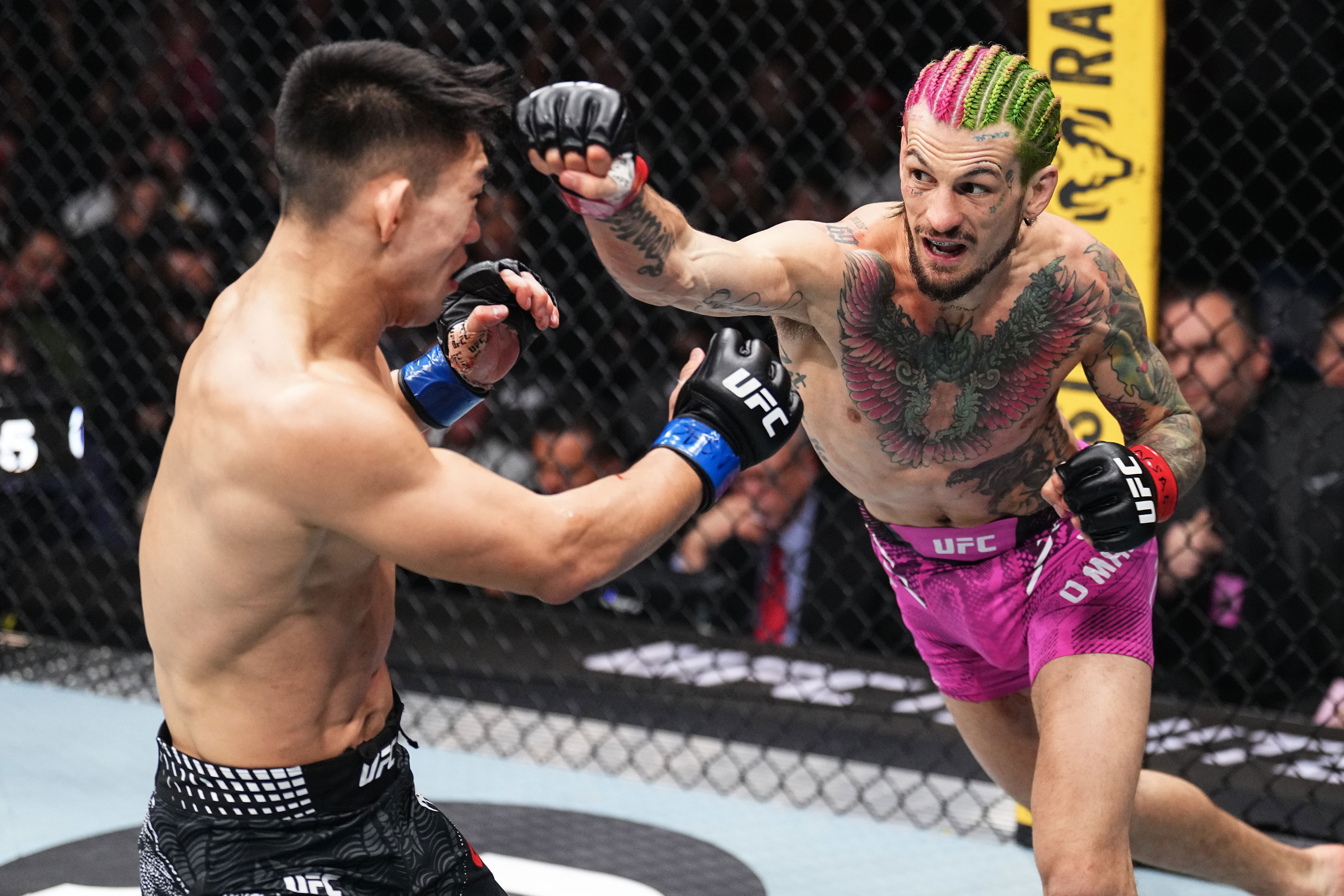 Sean O’Malley vs. Song Yadong full fight video highlights