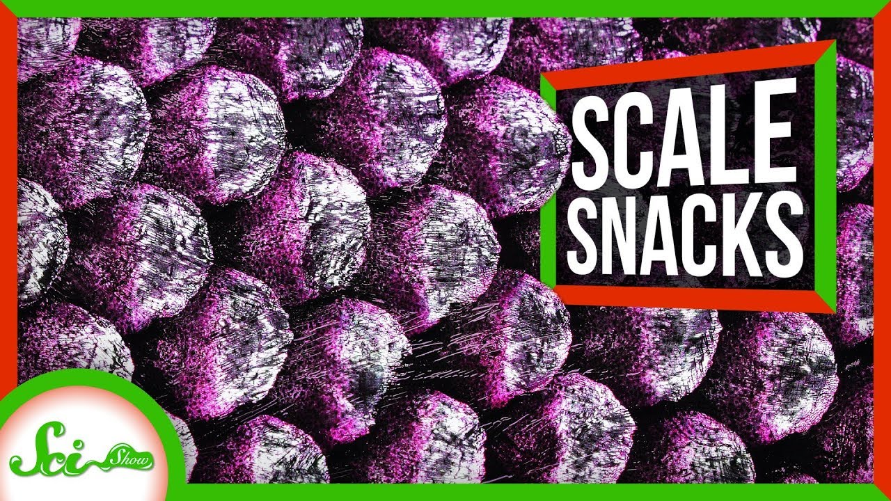 These fish eat scales