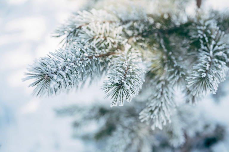 Allegheny County, Pittsburgh deploy trucks ahead of snowfall