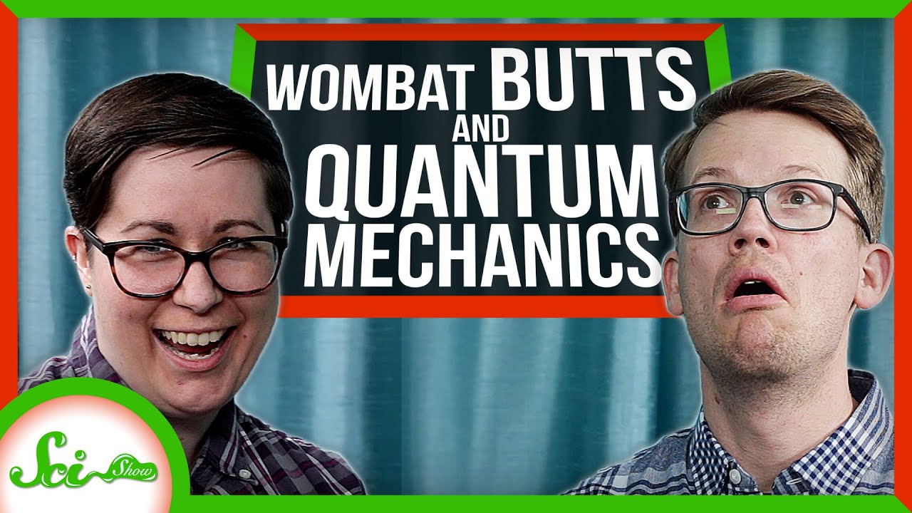 From wombat butts to quantum mechanics | SciShow quiz show
