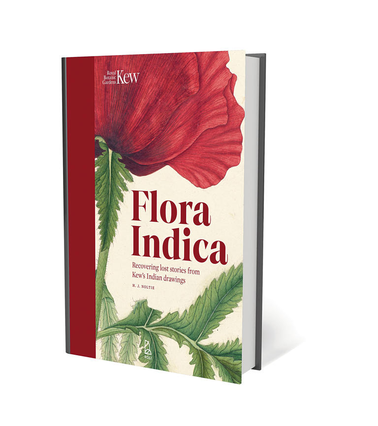 Who were the unsung artists behind colonial India’s rich botanical ...