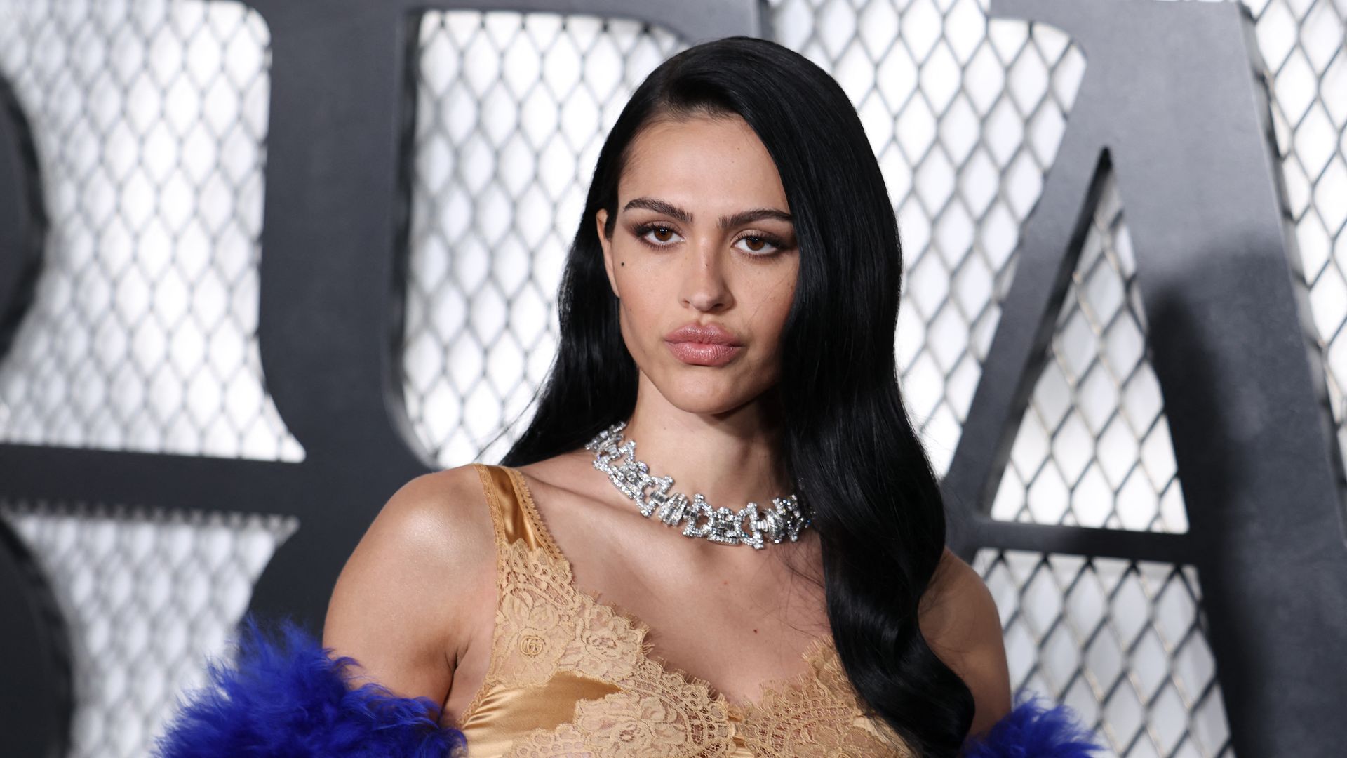 Lisa Rinna's daughter Amelia Gray Hamlin reveals the cosmetic ...