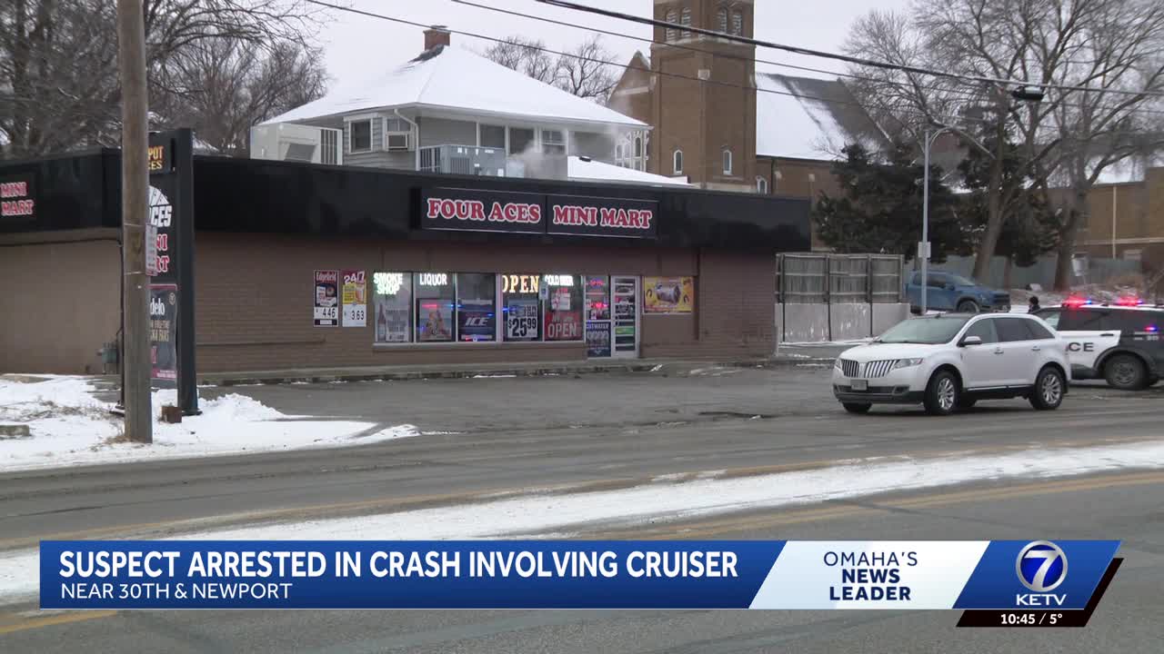 Man accused of trying to flee traffic stop allegedly hits police ...