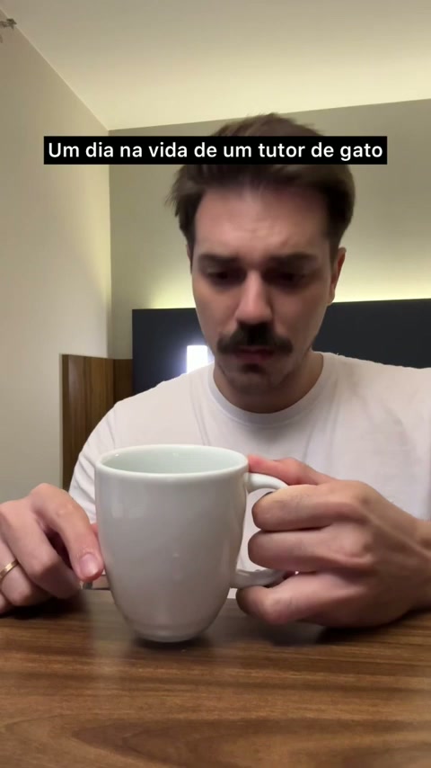 Um dia na vida do tutor de gato