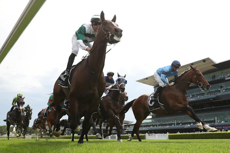 Future History out to extend streak in Australia Day Cup