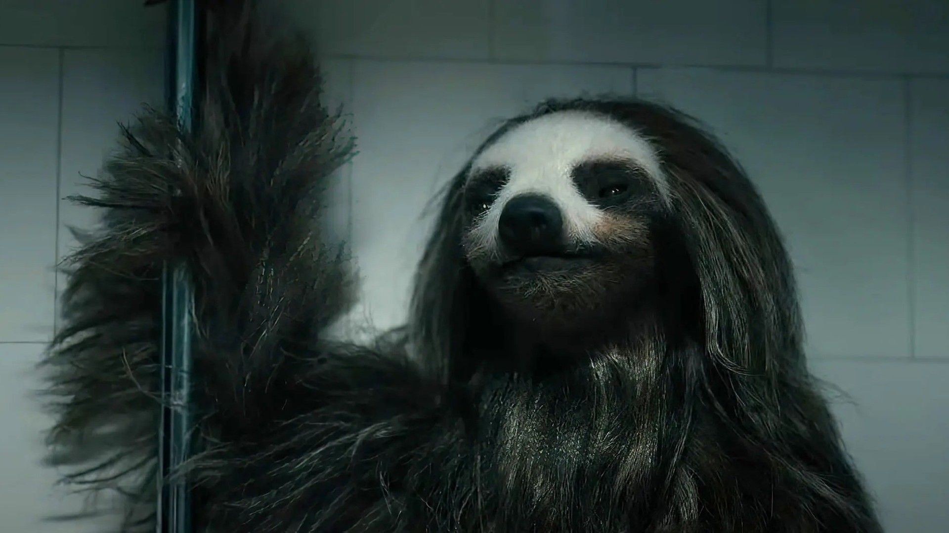 12 great slasher movies that subvert your expectations