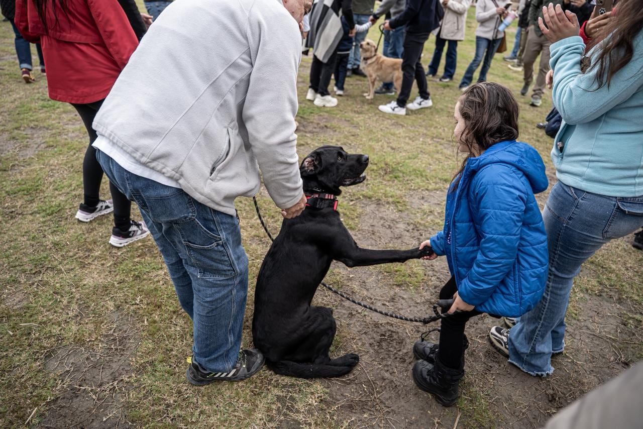 Certifican a perros en zooterapia tras un año de capacitación profesional