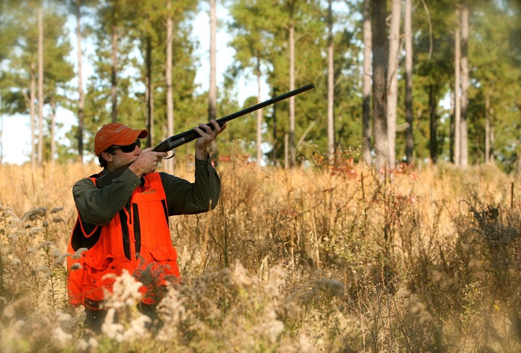 Wild game to dinner table: How to hunt, field dress and cook safely