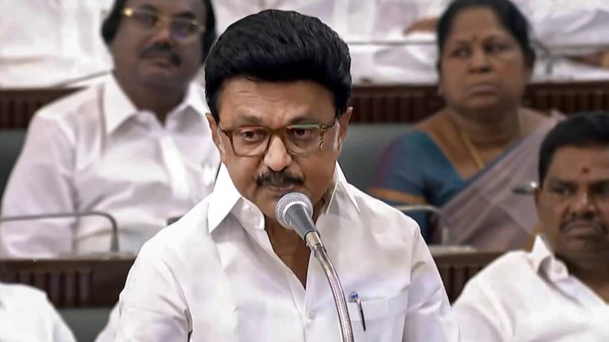 Tamil Nadu CM M K Stalin pays tribute to language martyrs, vows to ...