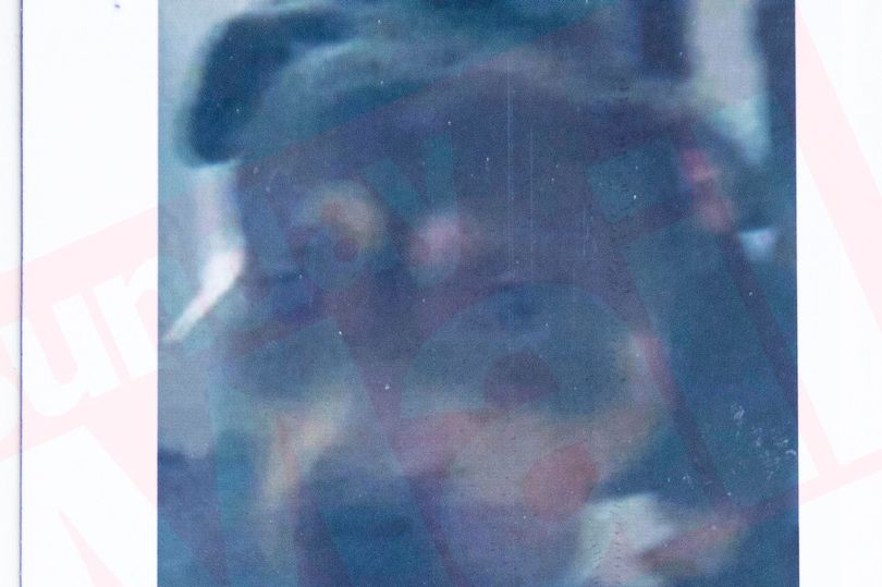 Fewer than 50 XL Bully convictions secured since law introduced in 2024