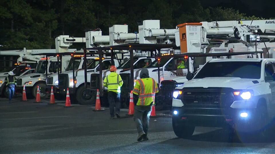 Tree companies ready to deploy