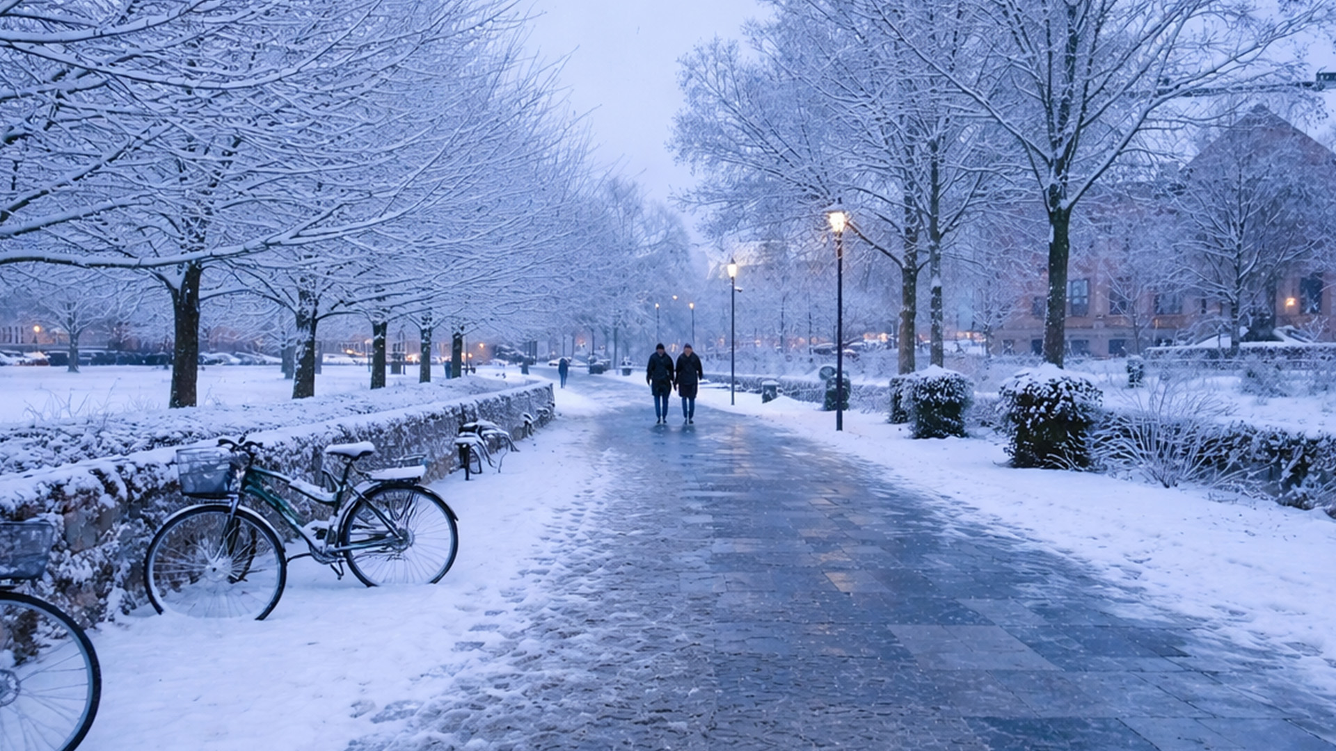 O que será que se esconde neste caminho nevado