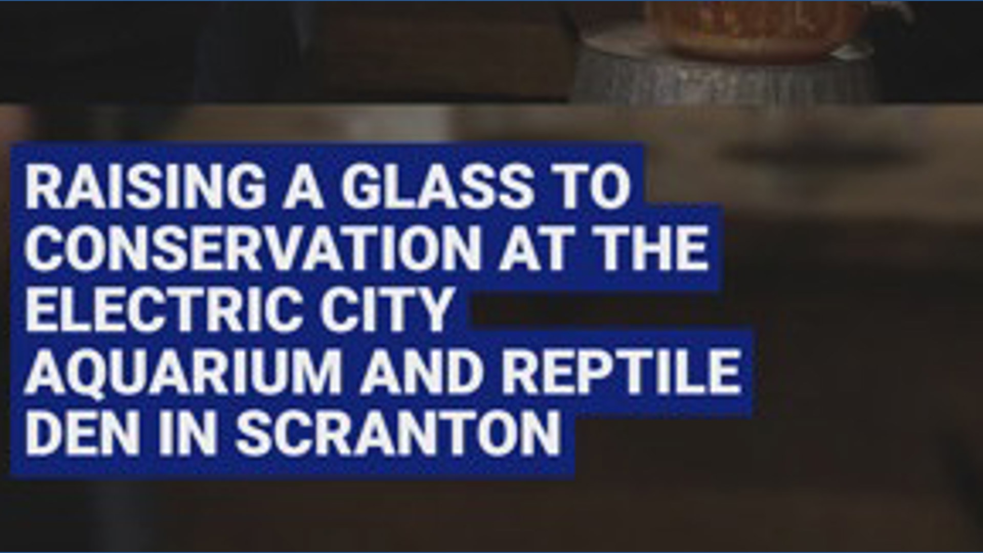 Winter Wine Under the Waves event in Scranton helps conservation efforts