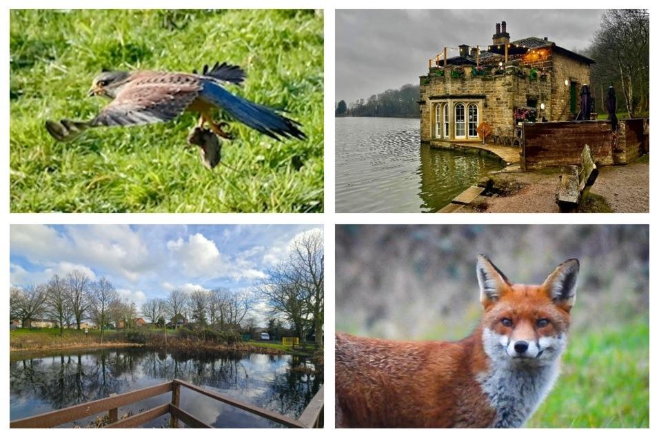 Reader pictures: 14 beautiful photos of the stunning winter scenery in ...